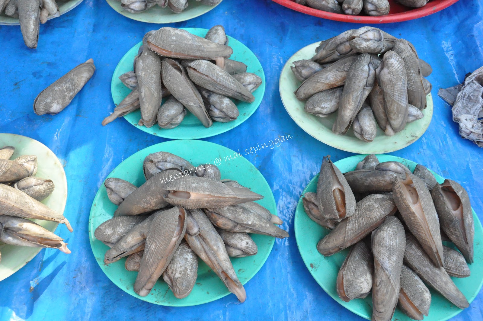 Mai Sepinggan: SIPUT MENTARANG - SAYUR MANIS MENTARANG