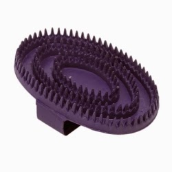 My Bay Horse: La limpieza del caballo.