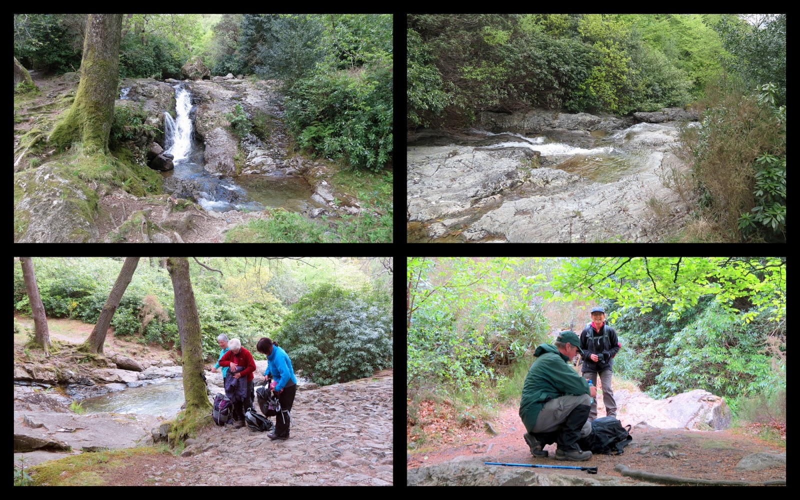 The Glebe Blog: Ramblers Trip 2013 to the Mountains of Mourne - Day 5 ...