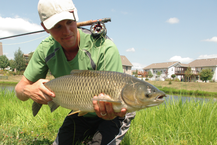 Currents: Grass Carp