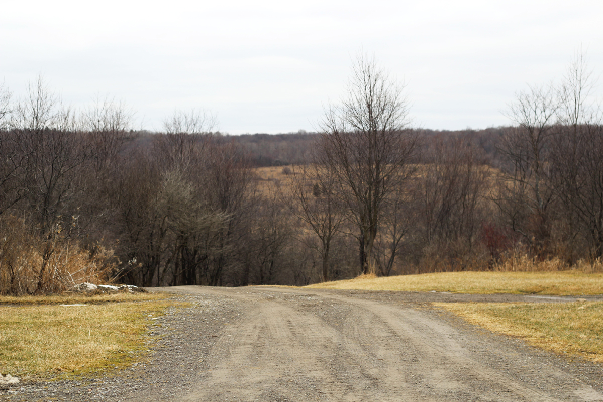 The Butcher and The Baker: Field Trip: Windy Ridge Natural Farms