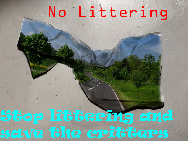 Digital Graphics: Littering poster