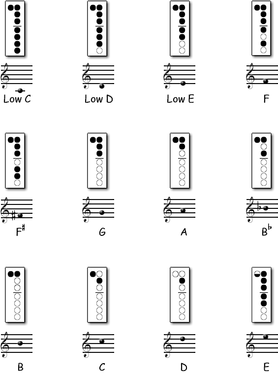Bassoon Doctor Link Up Recorder Basics bassoon-doctor-link-up-recorder-basics
