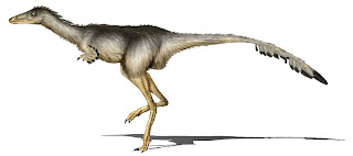 Mesozoic Musings at Jurassic Forest: November 2012