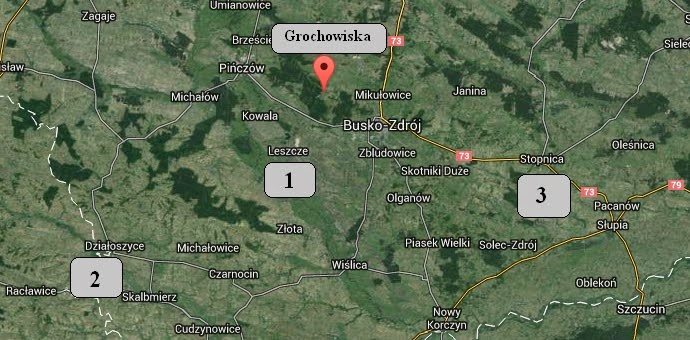 Gatczyna: Ordre de Bataille wojsk rosyjskich w bitwie pod Grochowiskami ...