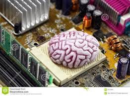 ¿CUAL ES LA IMPORTANCIA DEL "CPU": LA IMPORTANCIA DEL ~CPU~