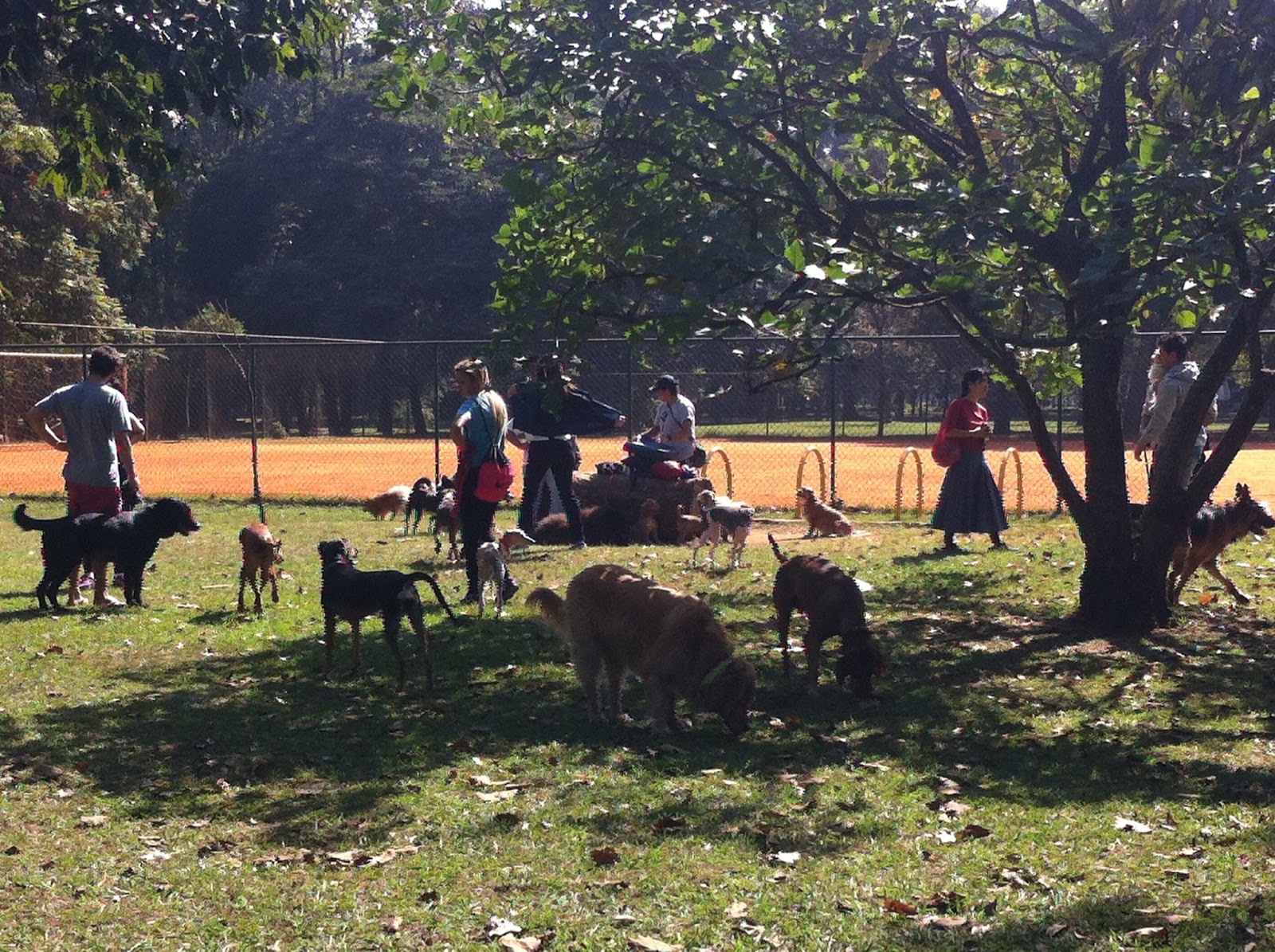 TURISMO 4 PATAS: ROTEIRO PET FRIENDLY: PASSEIO COMPLETO COM SEU ...