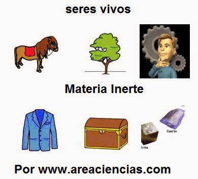 Mundo de Colores: Seres vivos e inertes