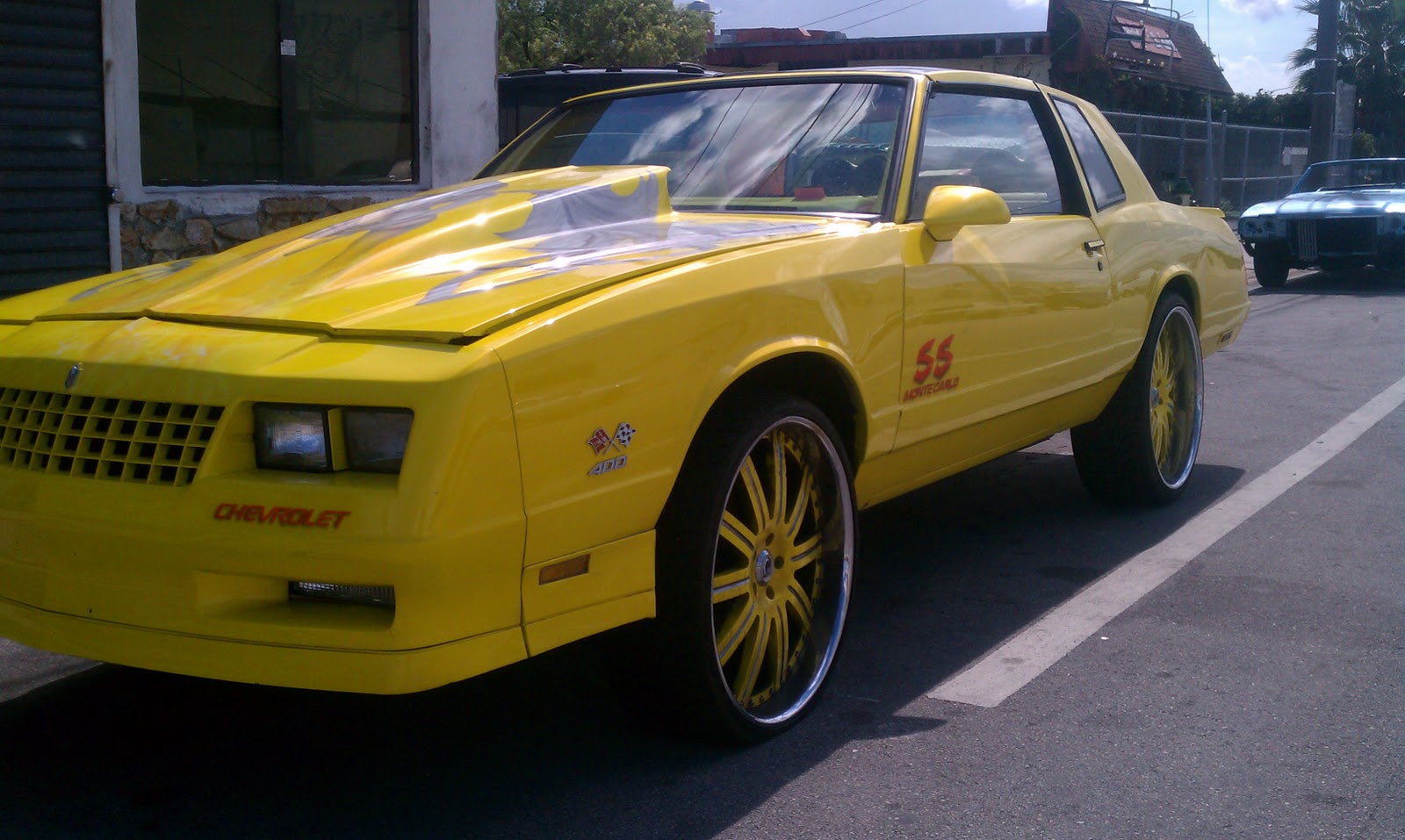 PHOTOGRAPHY BY MIAMIEARL: Monte Carlo SS T- Top on 24 inch Asanti