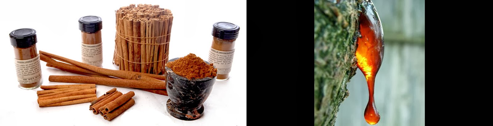Red Pill Diaries: Frankincense