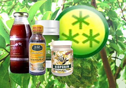 Obat Asam Urat Dari Bahan Herbal