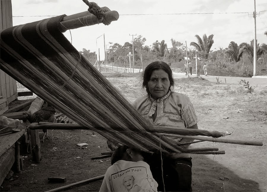 pueblos indigenas: LOS CHOLES