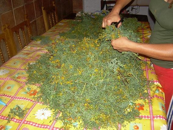 MURGULA: PRESENTACIÓN