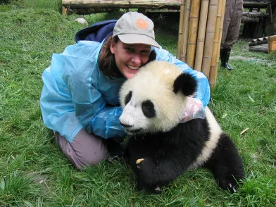 Amazing Giant Panda: Endangered Species, Giant Pandas Facts, Photos ...