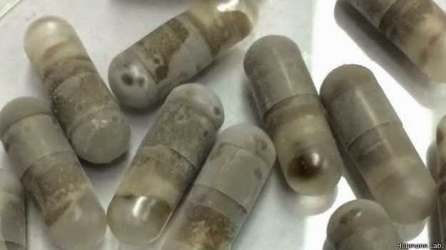 Blog de Carlos: Frozen excrement pill to treat intestinal infections
