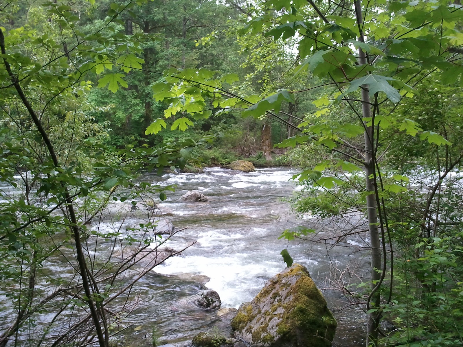 Highline School Superintendent Blog: A Superintendent's Visit to Camp ...