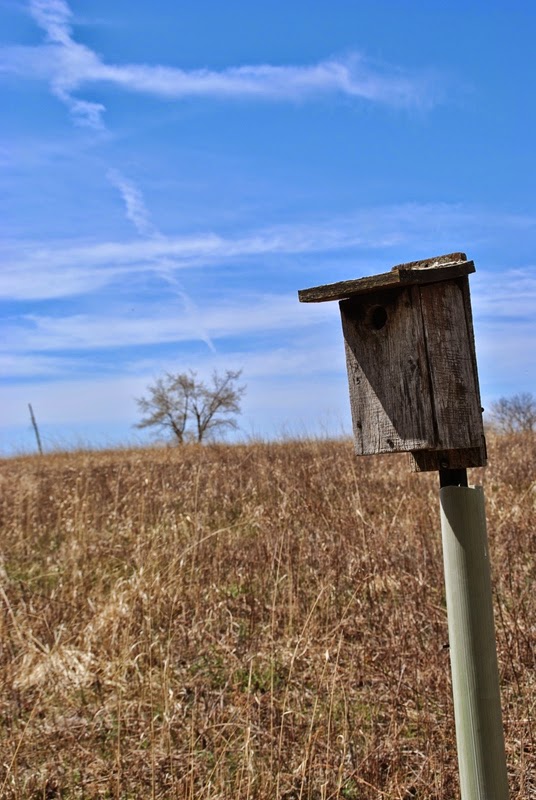 Southeastern PA Hiking: Binky Lee Preserve