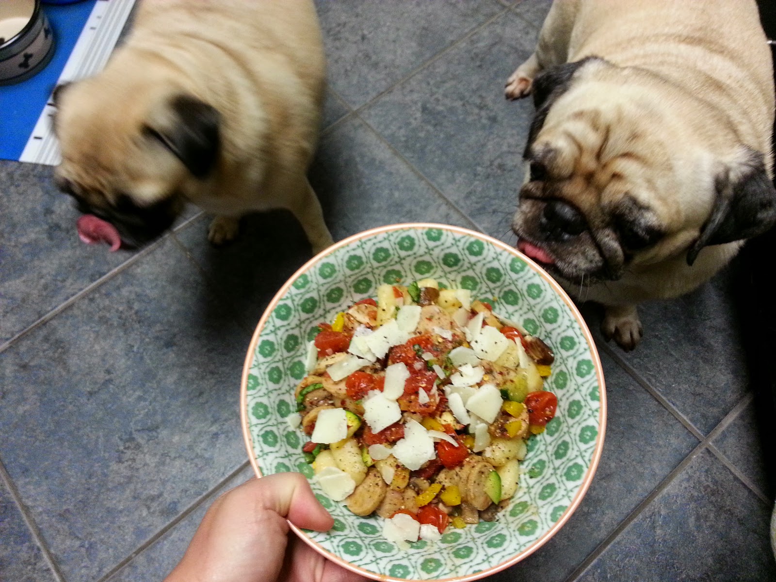 Grubbin' Pugs: Gnocchi with Tomatoes, Vegetables, Mushrooms, Chicken ...