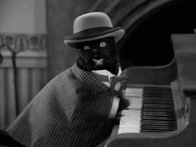 Gifs de Gatos: Gif Old Cat