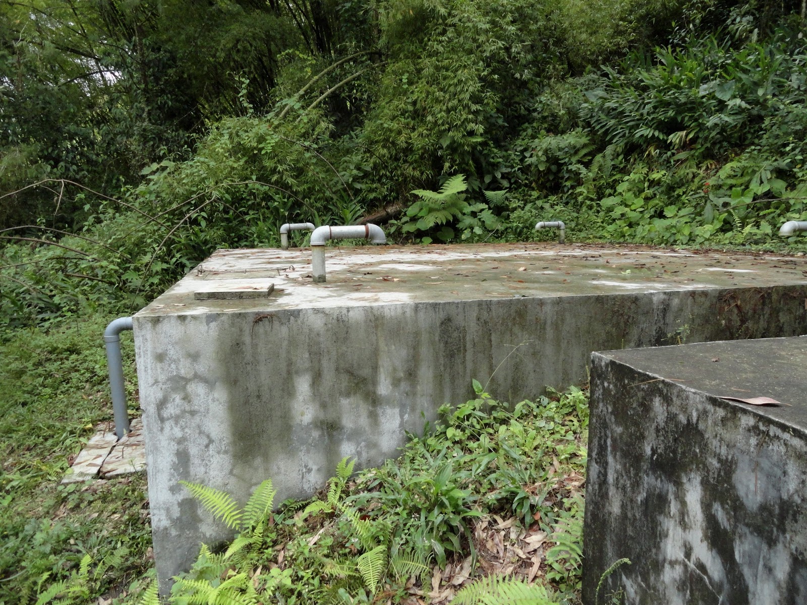 PROYECTO COLOR COLOMBIA: LOS ACUEDUCTOS RURALES... PARA CUIDAR