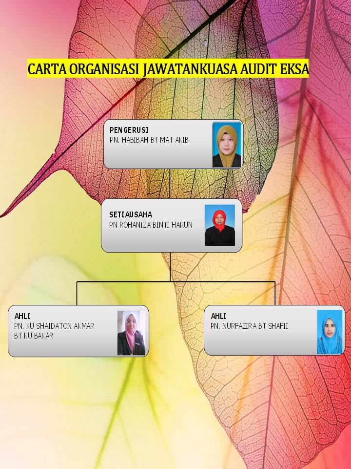 EKSA KK PENAGA: CARTA ORGANISASI AUDIT