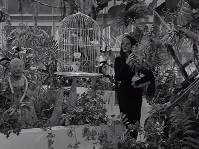 The Mansion of The Addams Family.