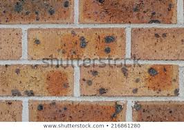Defects In Bricks ,Brick Earth Composition: ~ CIVIL ENGINEERING INFORMATION