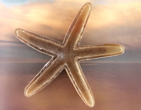 How to Make a Rubber Urethane Mold for Casting Starfish