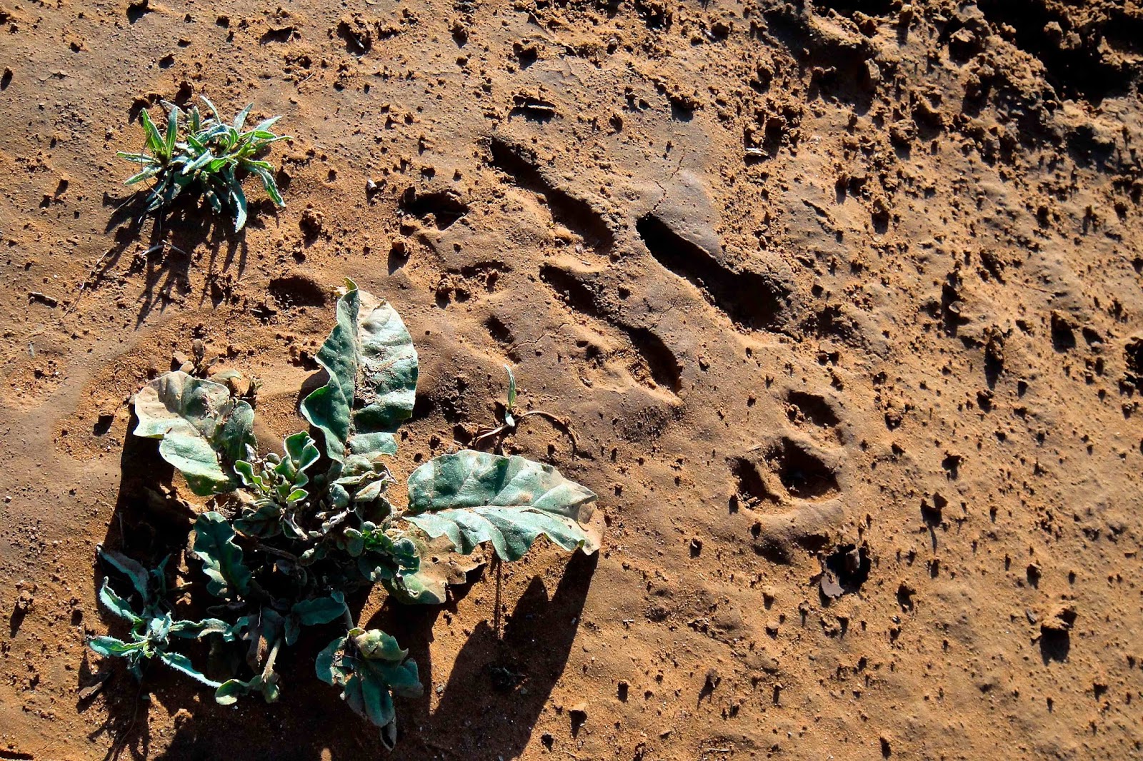 Poetry Of Spirit And Light: When Words Fade Into Nothingness