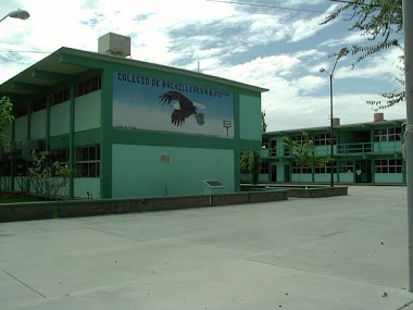 MATEMÁTICAS para COBACH 6