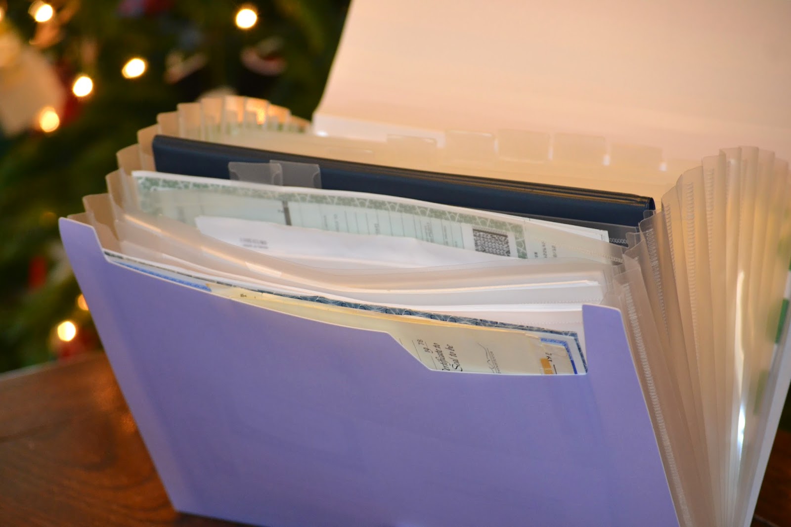 Sanford and Sons Plus One: Legacy Binder Part Two