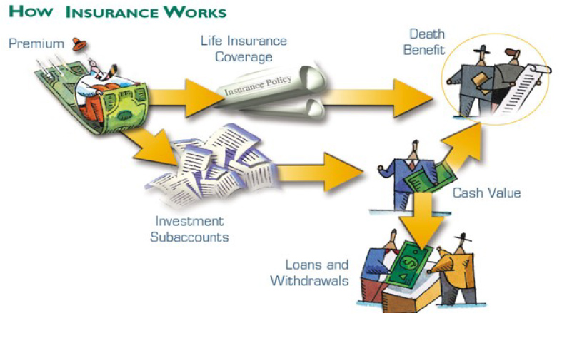 How an Insurance Policy Works