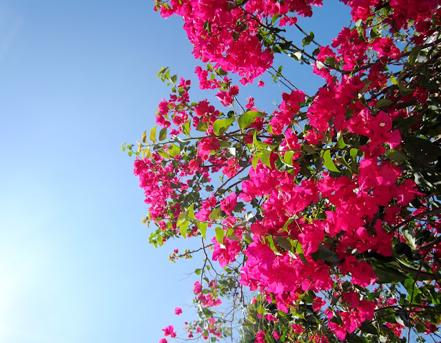 Finding the extraordinary in the ordinary: Spring Travel: Fort ...