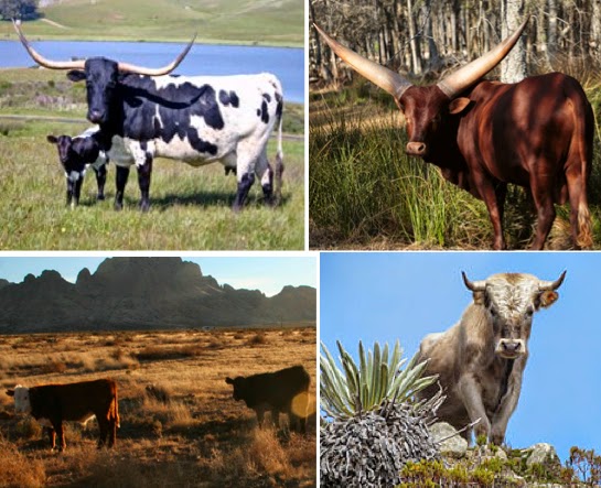 NephiCode: April 2014