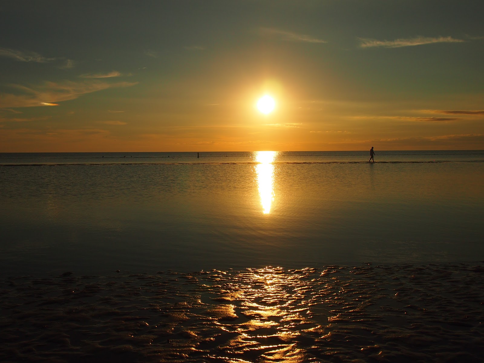 Black Swamp Cornucopia: First Encounter Beach, Cape Cod, Massachusetts