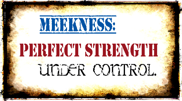 Burden Bearers & World Shakers: Meekness for the Preakness: Are You ...