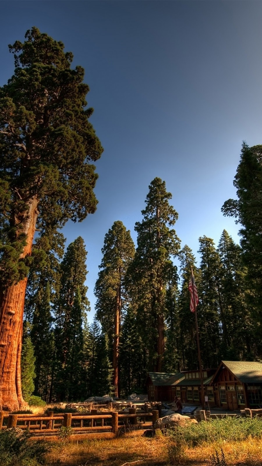 Fondo android pack 201