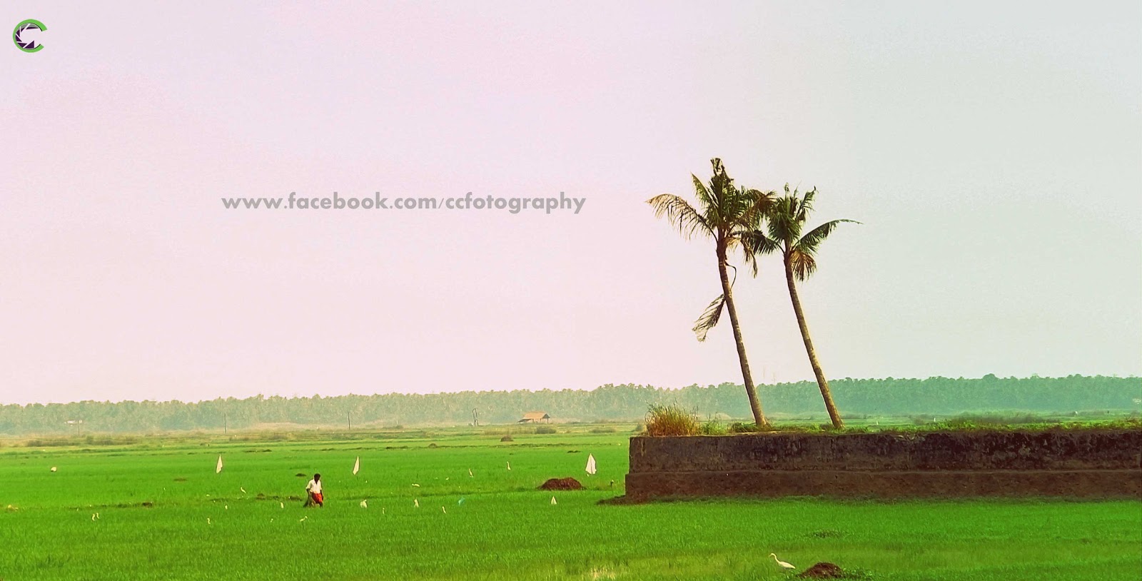 Anthikad Village CC Photography | CC Photography