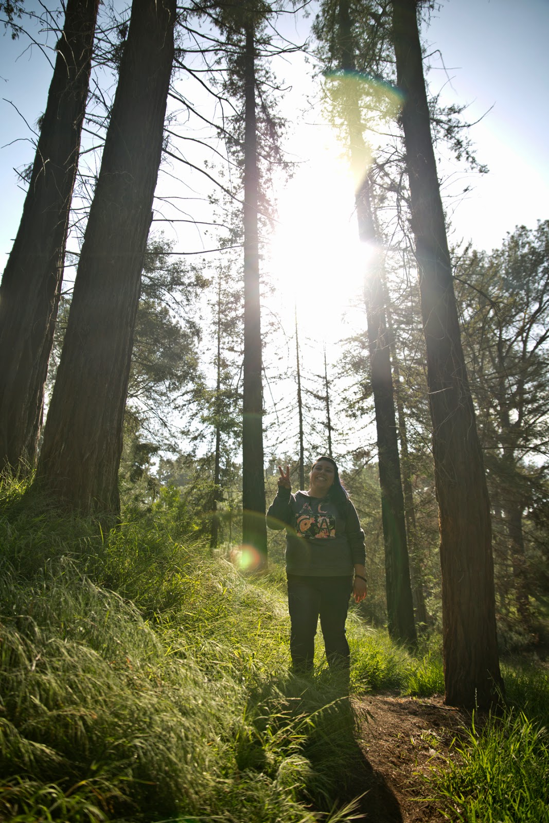The Adventures of Ana : 112/365 - "Green Day" featuring Haylie Calvert