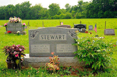 Alexandria On The Potomac: Gallery No.144: Anna Class Reunion Trip ...