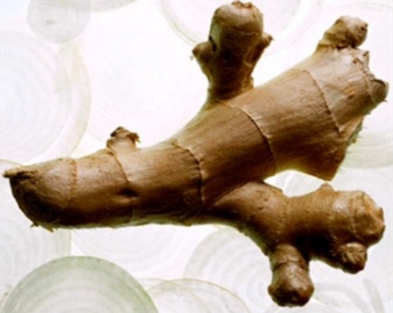 Pertanian Indonesia: Cara Menanam dan Merawat Tanaman Jahe di Kebun Sendiri