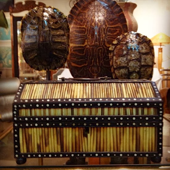 Vintage Mulberry: Tortoise Shells!