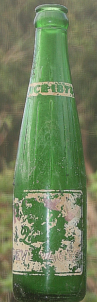 The Treasure Beaches Report Direct From Florida's Treasure Coast.: 2/24 ...