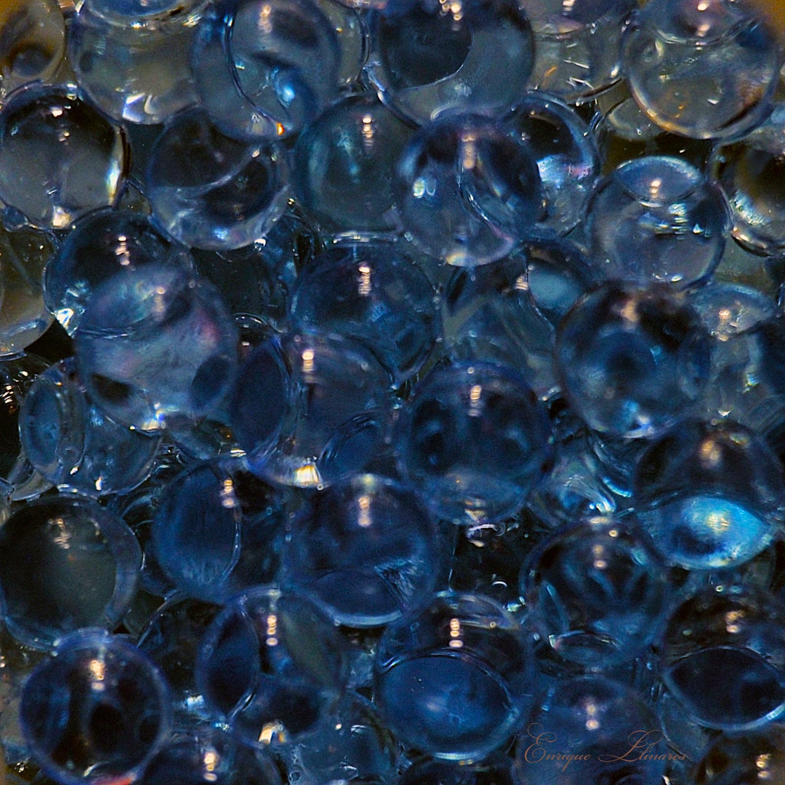 Proyecto - 365: 2013