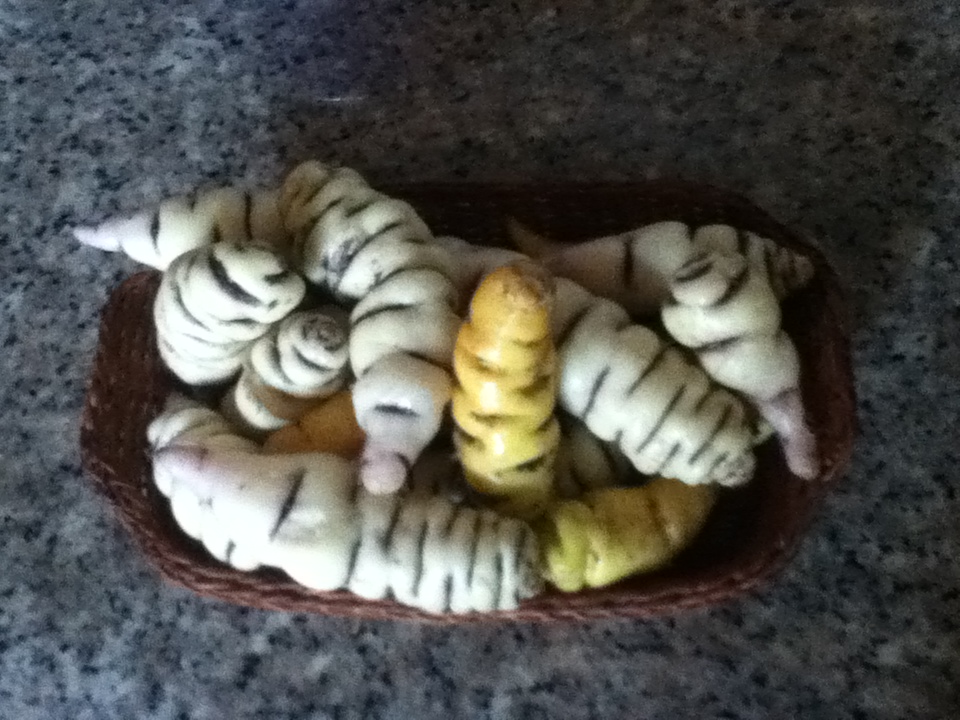 Torta de cubios y champiñones: Un valuarte de la Humanidad y la Naturaleza