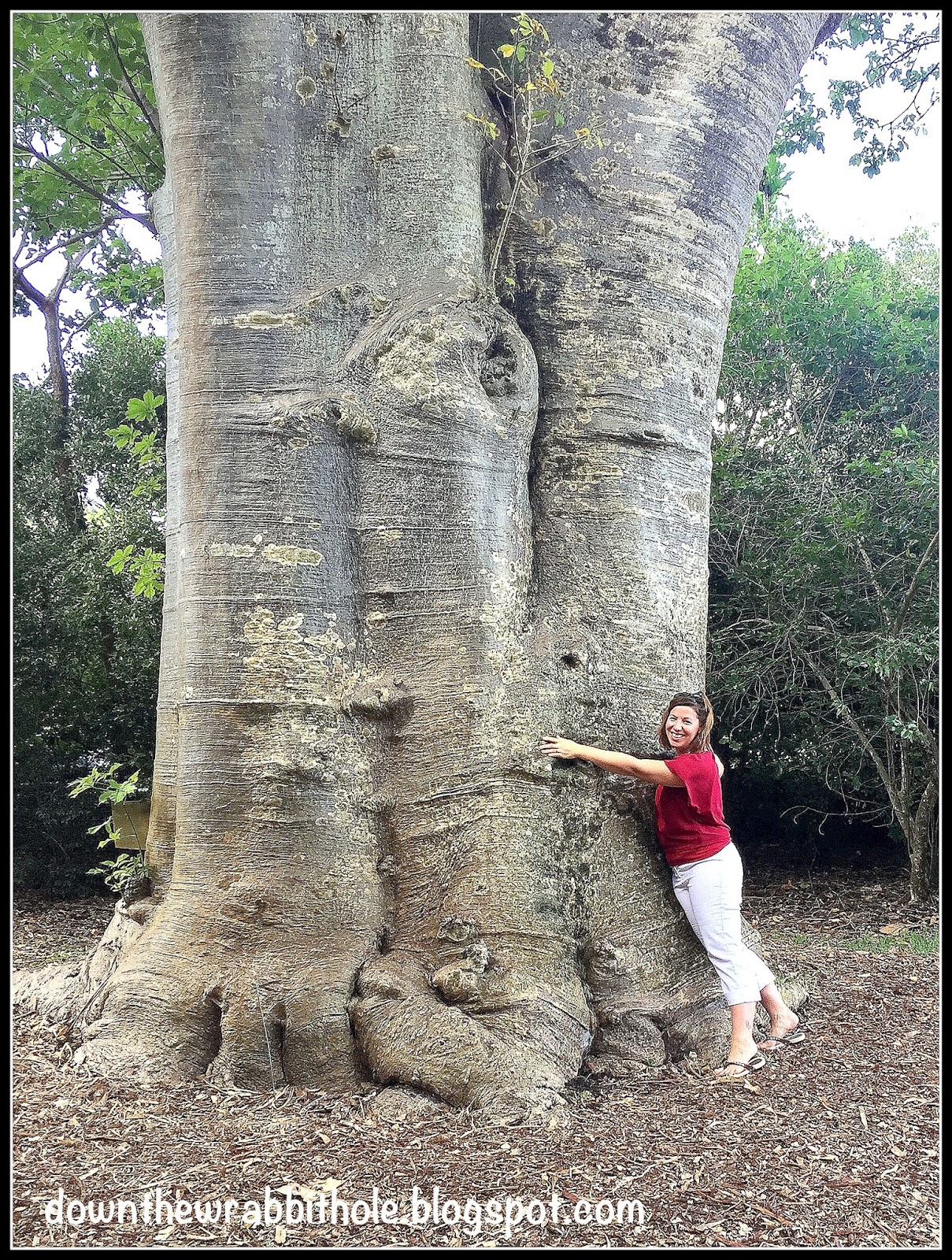 Down the Wrabbit Hole - The Travel Bucket List: Stop to Smell the ...