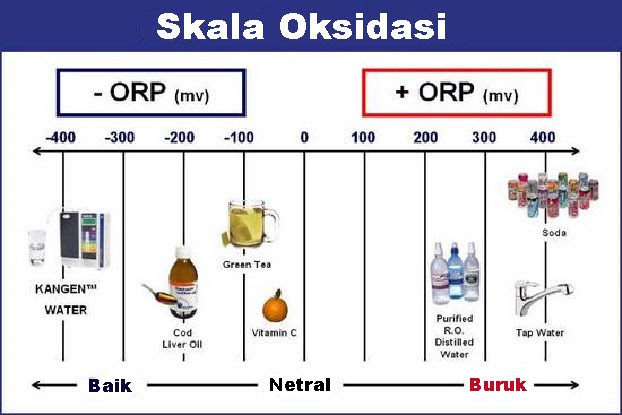 Mesin Kangen water: Apa itu ORP dalam Kandungan air