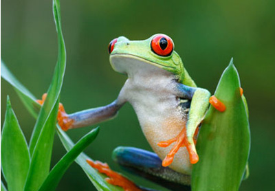 La Naturaleza: Diferentes tipos de climas de Costa Rica