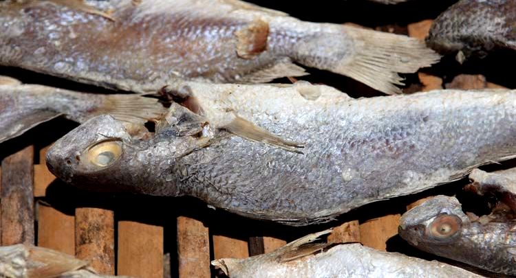 Birds Talking Too: DUCKS & SALTED FISH