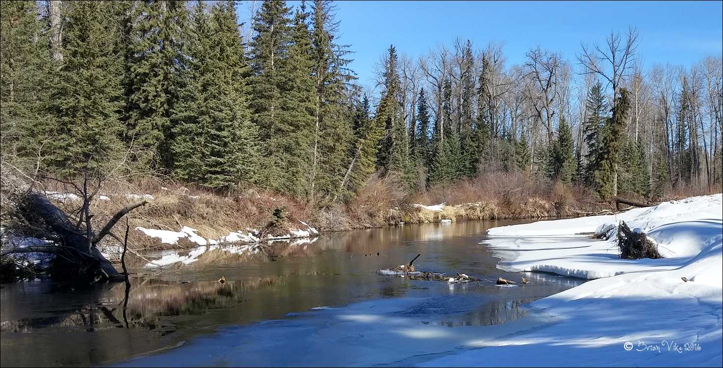 Northern Interior British Columbia: Spring On The Bulkley River Houston ...